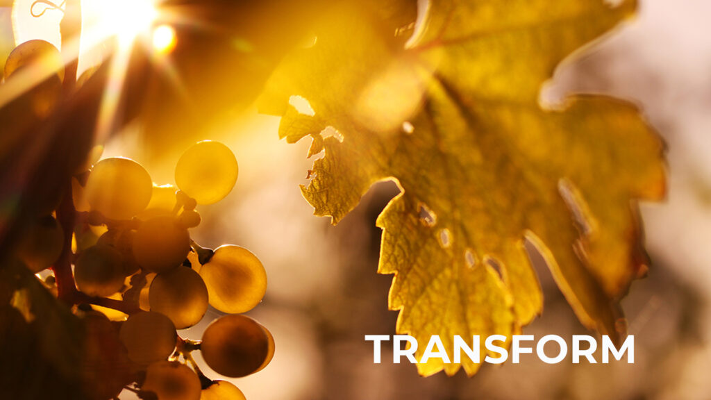 SMWE: ACT 2021 – Artitudes